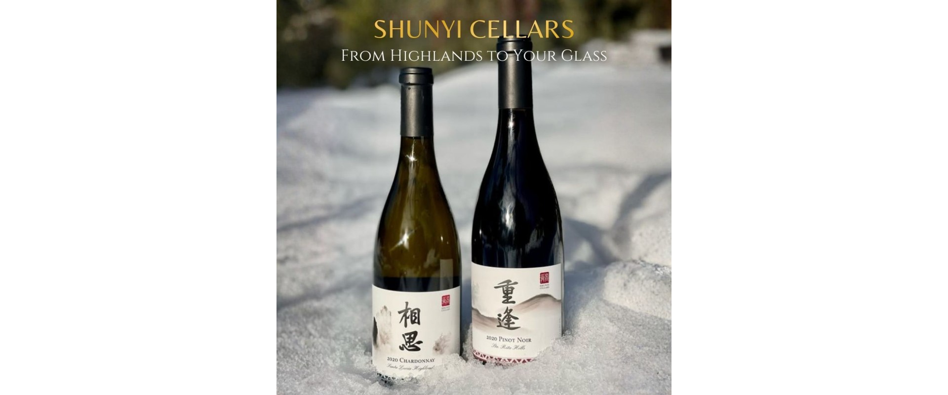 From Highlands to Your Glass: Shunyi’s Finest Chardonnay and Pinot Noir